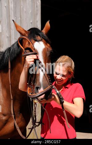 Bridle, girl bridles german warmblood, german riding horse, bridle ...