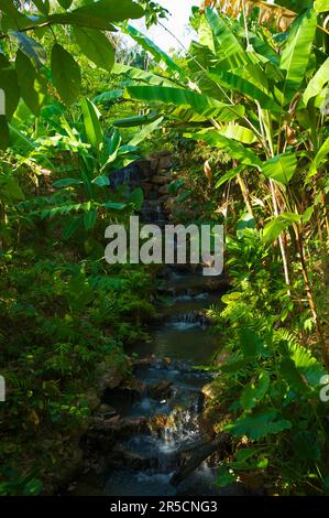 Evason Resort, Phuket, Thailand, Southeast Asia, Asia Stock Photo - Alamy