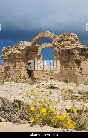 Saranda Kolones in the excavation area in Pafos, Paphos, Cyprus Stock ...