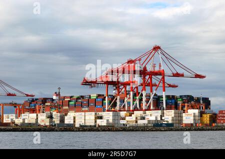 Cranes at the South End Container Terminal (PSA Halifax) at the Port of ...