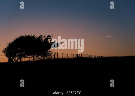 Airplanes fly into the distance at sunset creating vapour trails. A ...