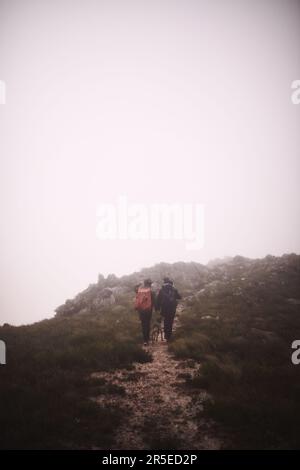 two friends with a dog hiking in the Allgäu Germany Stock Photo - Alamy