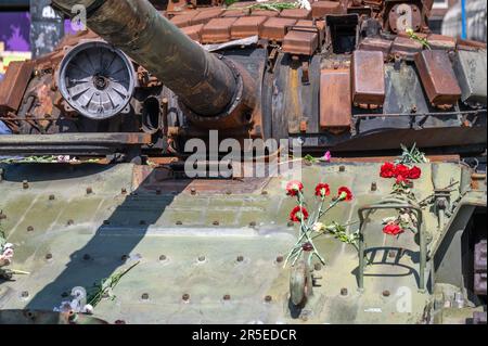 Flowers on a wrecked tank Stock Photo - Alamy