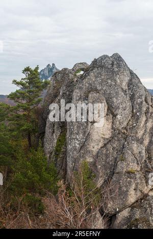 View from Sulovsky hrad castle ruins in Sulovske skaly mountains in ...