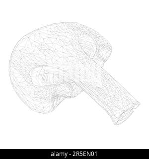 Mushroom wireframe from black lines isolated on white background. Front ...