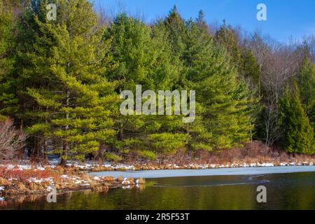 Lower Lake during the spring ice melt at Promised Land State Park in ...