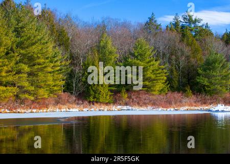 Lower Lake during the spring ice melt at Promised Land State Park in ...