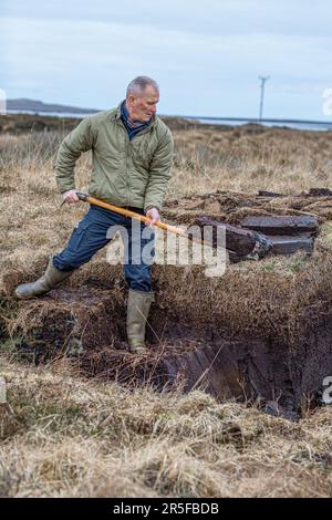 Man cutting peat blocks for traditional free fuel on the Shetland Isles ...