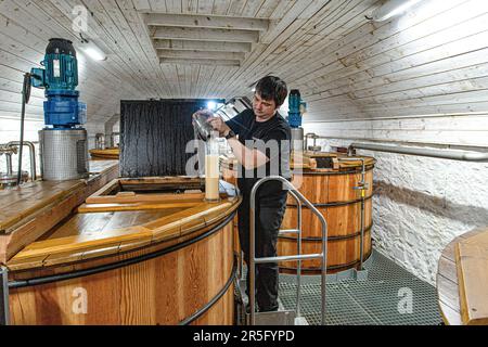 Distillery operator checks washback tank inside the Torabhaig ...