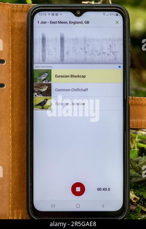 Using the Merlin mobile phone (cell phone) app to identify birds from ...