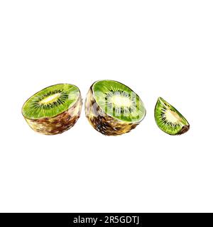 Kiwi slices illustrations isolated on white background. Fresh, tropical ...