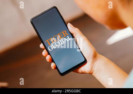 In this photo illustration, the Tiger Global Management logo is ...