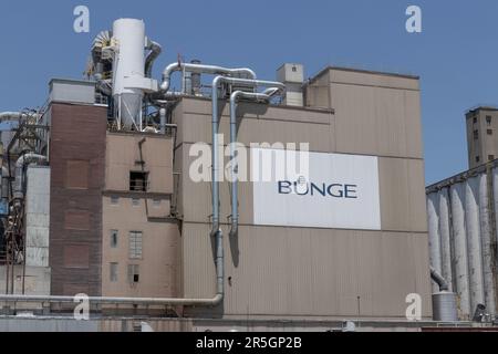 Danville - Circa June 2023: Bunge grain and soybean processing facility ...