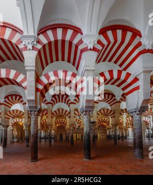 View of the hypostyle prayer hall of Al-Aqsa Mosque in the Temple Mount ...