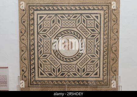 Hall of Mosaics at Alcazar de los Reyes Cristianos - Cordoba, Andalusia, Spain Stock Photo - Alamy