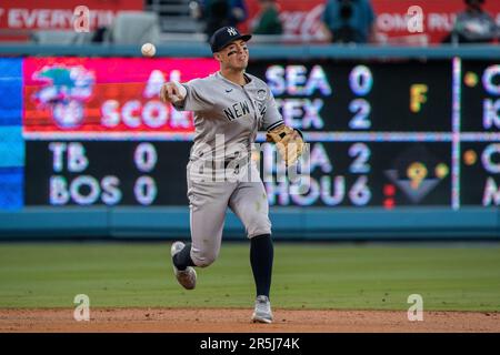 New York Yankees shortstop Anthony Volpe (11) in the second inning of a baseball game Sunday ...