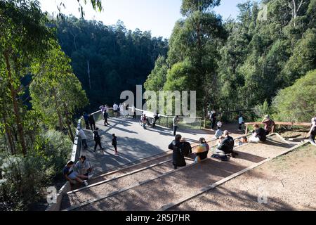 Masons Falls in Melbourne Australia Stock Photo - Alamy