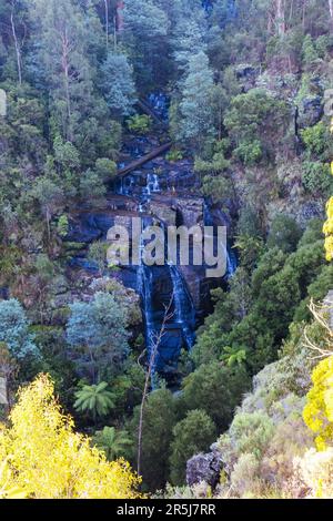 Masons Falls in Melbourne Australia Stock Photo - Alamy
