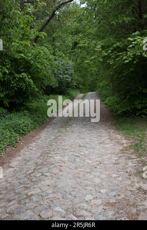 main road of tiny village Briesen with very few people living there in ...