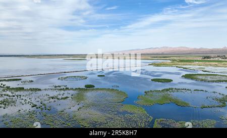 Bayannur. 4th June, 2023. This aerial photo taken on June 4, 2023 shows ...