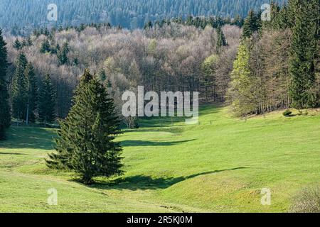 Natural scenery, Polana mountains, Slovak republic. Hiking theme ...