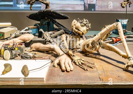 Robotics and animatronics on display on a bench used to bring a ...