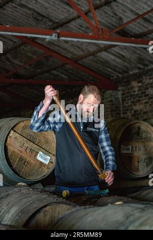 Head distiller Adam Hannett is sampling whisky at the Bruichladdich ...
