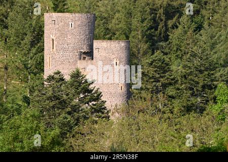 The medieval Spornburg Frauenburg in the Birkenfeld district in the ...