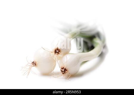 Three bulbs spring onions on white background Stock Photo - Alamy