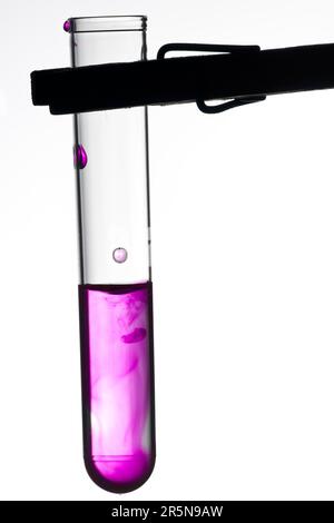 Test tube on clamp with purple liquid Stock Photo - Alamy