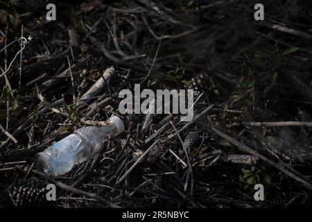 litter, trash, garbage being left in nature and harming the ecosystem ...