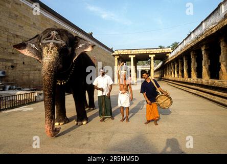 The priest carrying the holy water of river Kollidam on his head along ...