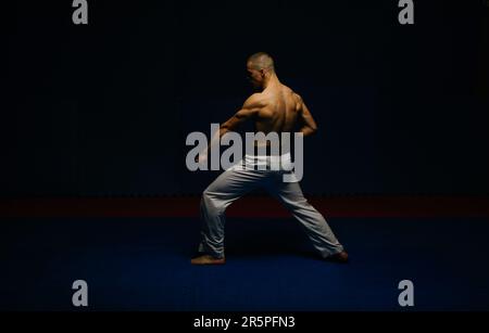 Handsome young man doing the Gedan Barai pose at the karate studio ...