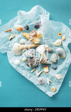 Variety seashells. Collecting sea shells Stock Photo - Alamy