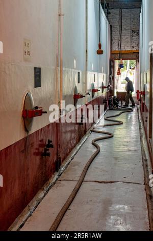 A worker circulates fermenting wine with a pump at La Abeja Winery in ...