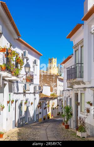 Portugal, Alentejo region, Moura, tradition of flowered streets and ...