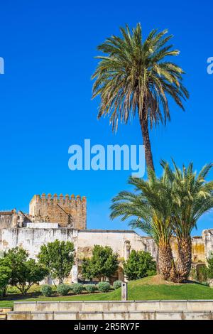 Portugal, Alentejo region, Moura, remains of the medieval castle ...