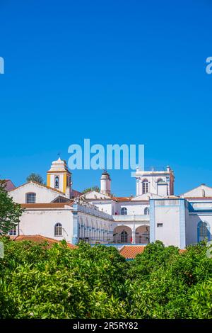 Portugal, Alentejo region, Moura, orange and lemon garden of the Hotel ...