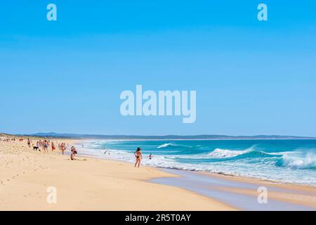 Portugal, Alentejo region, Comporta, Comporta beach Stock Photo - Alamy