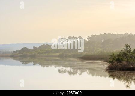 Portugal, Alentejo region, Melides, Melides lagoon, birdwatching hut ...