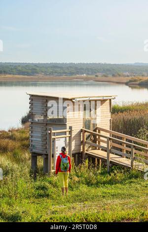 Portugal, Alentejo region, Melides, Melides lagoon joins the Atlantic ...