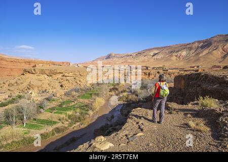 Morocco, Roses Valley, surroundings of Bou Tharar, hamlet built in ...
