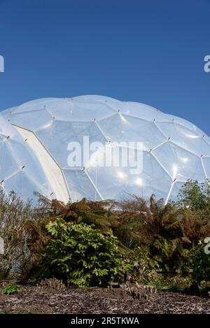 Giant domes of the Eden Project, near St Austell, Cornwall, England, UK ...