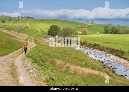Woman Walking to Garsdale Head From the Pennine Journey bridleway ...