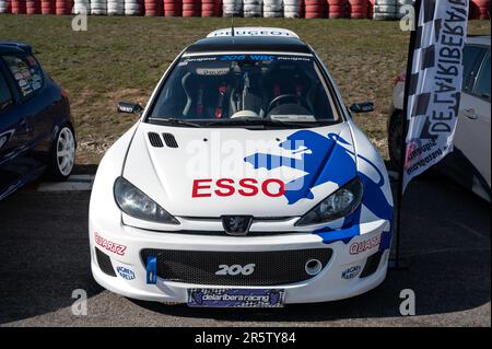 Detail of the impressive Peugeot 206 WRC rally with the decoration and ...