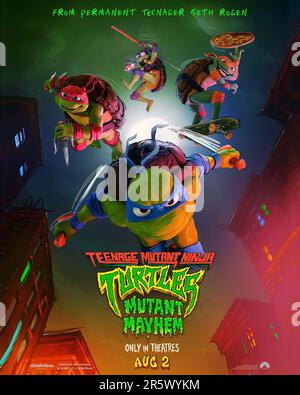 MICHELANGELO, RAPHAEL, DONATELLO, LEONARDO POSTER, TMNT, 2007 Stock ...