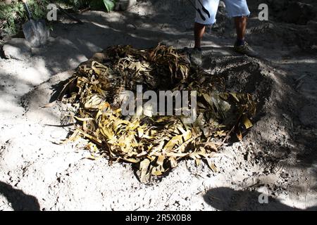 The Peruvian earth oven food tradition. Cooking food underground pays ...