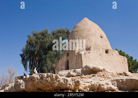 Mud house, Bahariya Oasis, Libyan Desert, mud brick construction, Egypt ...