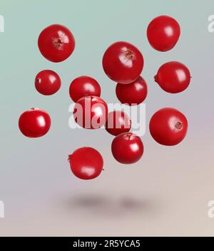 Delicious ripe cranberries falling on light pink background Stock Photo ...