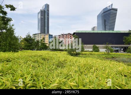 BAM library of trees, new modern park in Porta nuova district, Milan ...